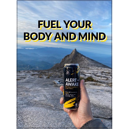 Alert + Awake Nootropic Energy Drink, 300 ml x 24 Cans (1 Carton ...