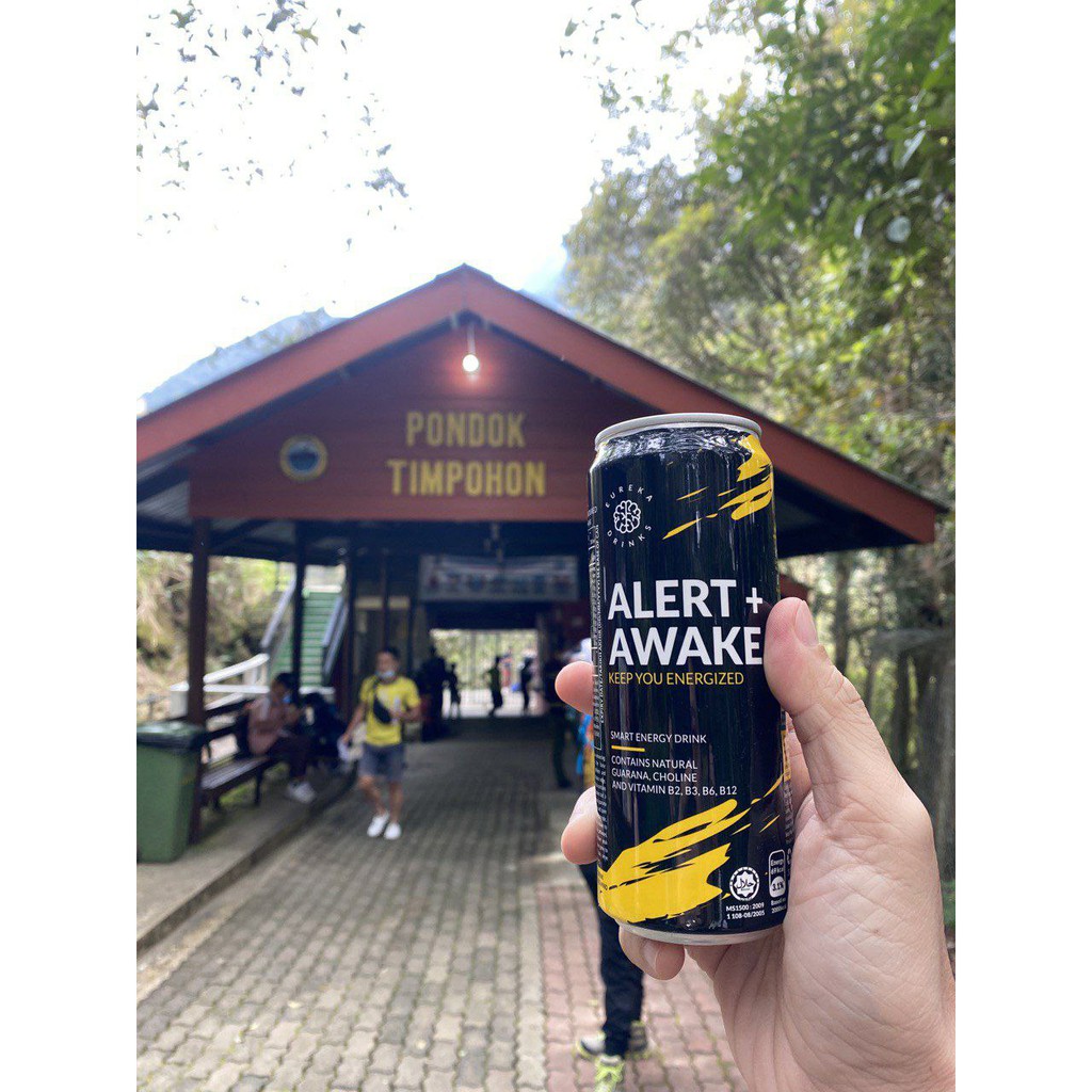 Alert + Awake Nootropic Energy Can, 300 ml – eJazmine.com