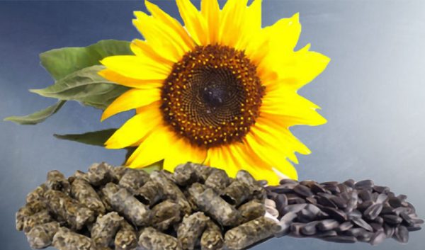 Sunflower Meal (Metric Ton) – eJazmine.com